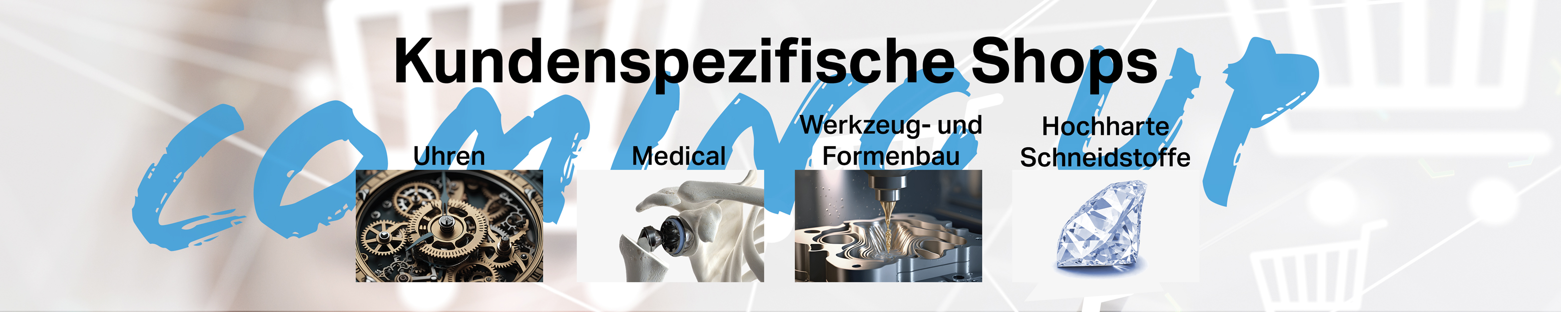 Vischer & Bolli AG